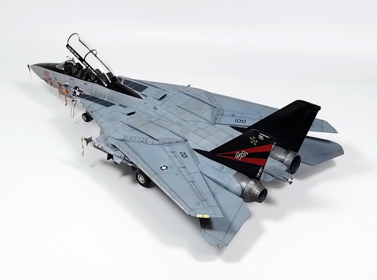 MMZ - 1/48 Tamiya F-14A VF-154 CAG 1996